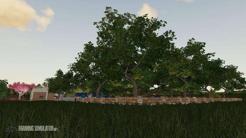 Fruit Orchards v 1.1 - FS19 Objects