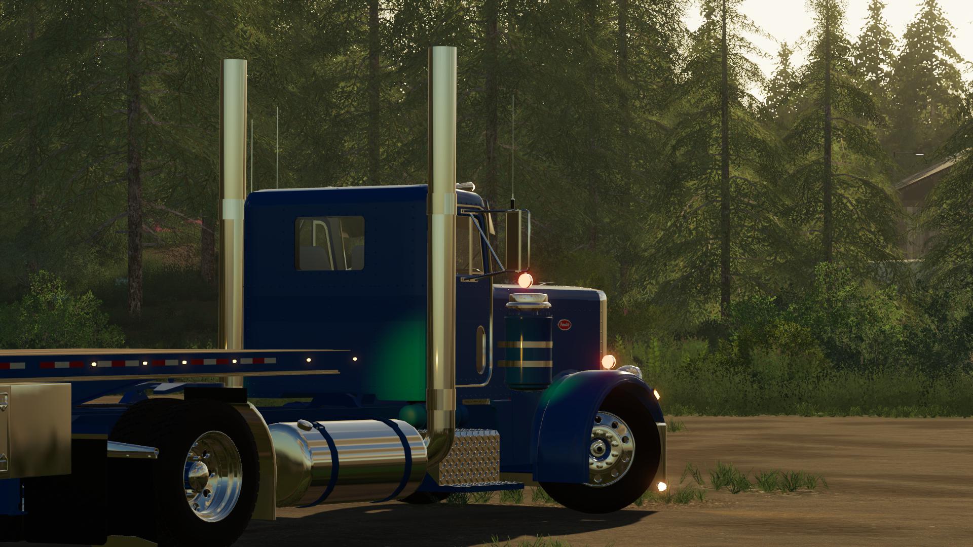 Peterbilt 359 v 3.0 - FS19 Trucks