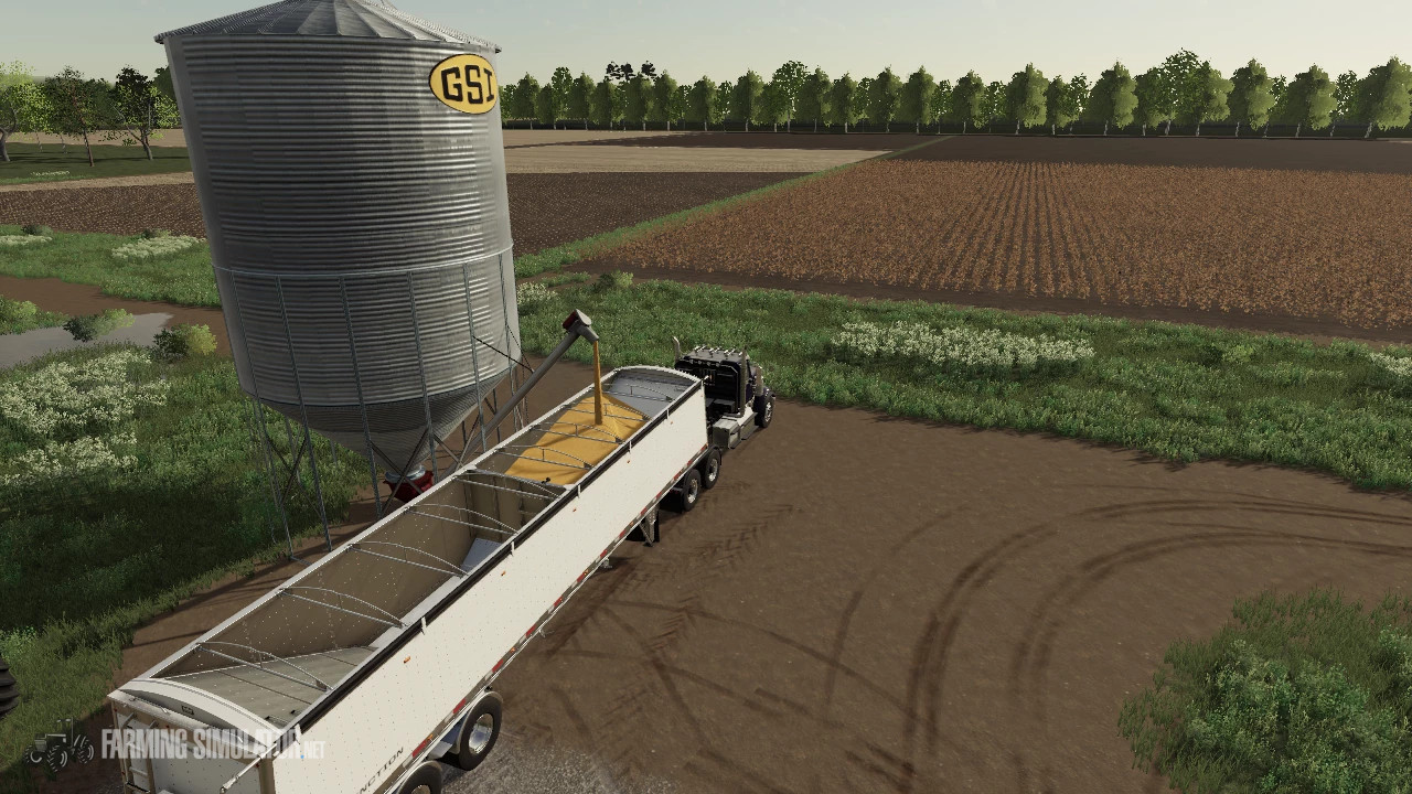 GSI Grain Storage Silo (GtX Script Version) v 1.0 - FS19 Objects