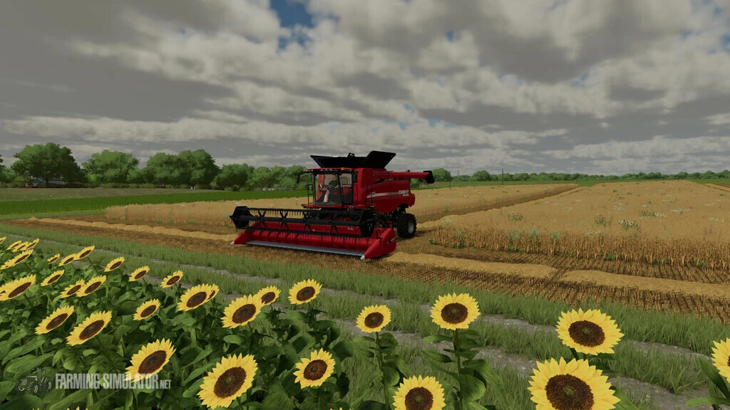 FS19 OBORA v 1.0 - FS19 Objects